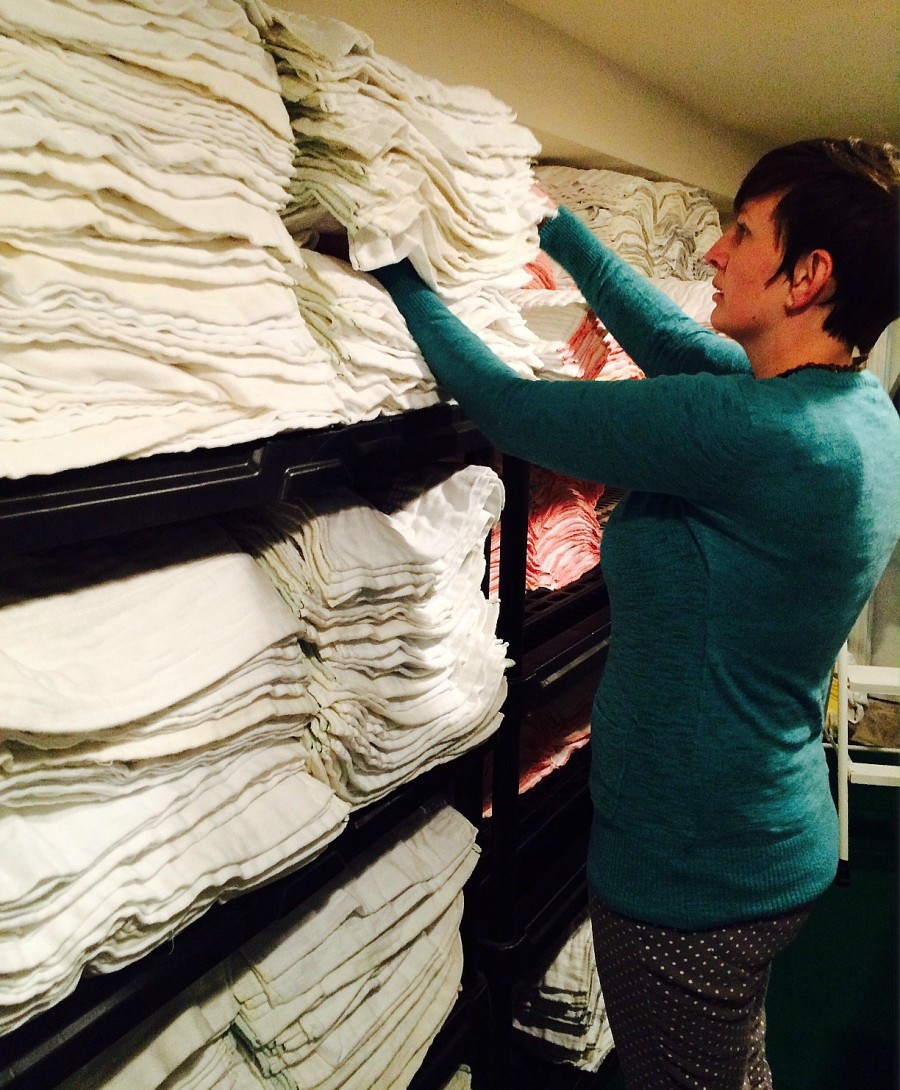 Behind the Diaper - The Diaper Fairy (Diaper Service Series)