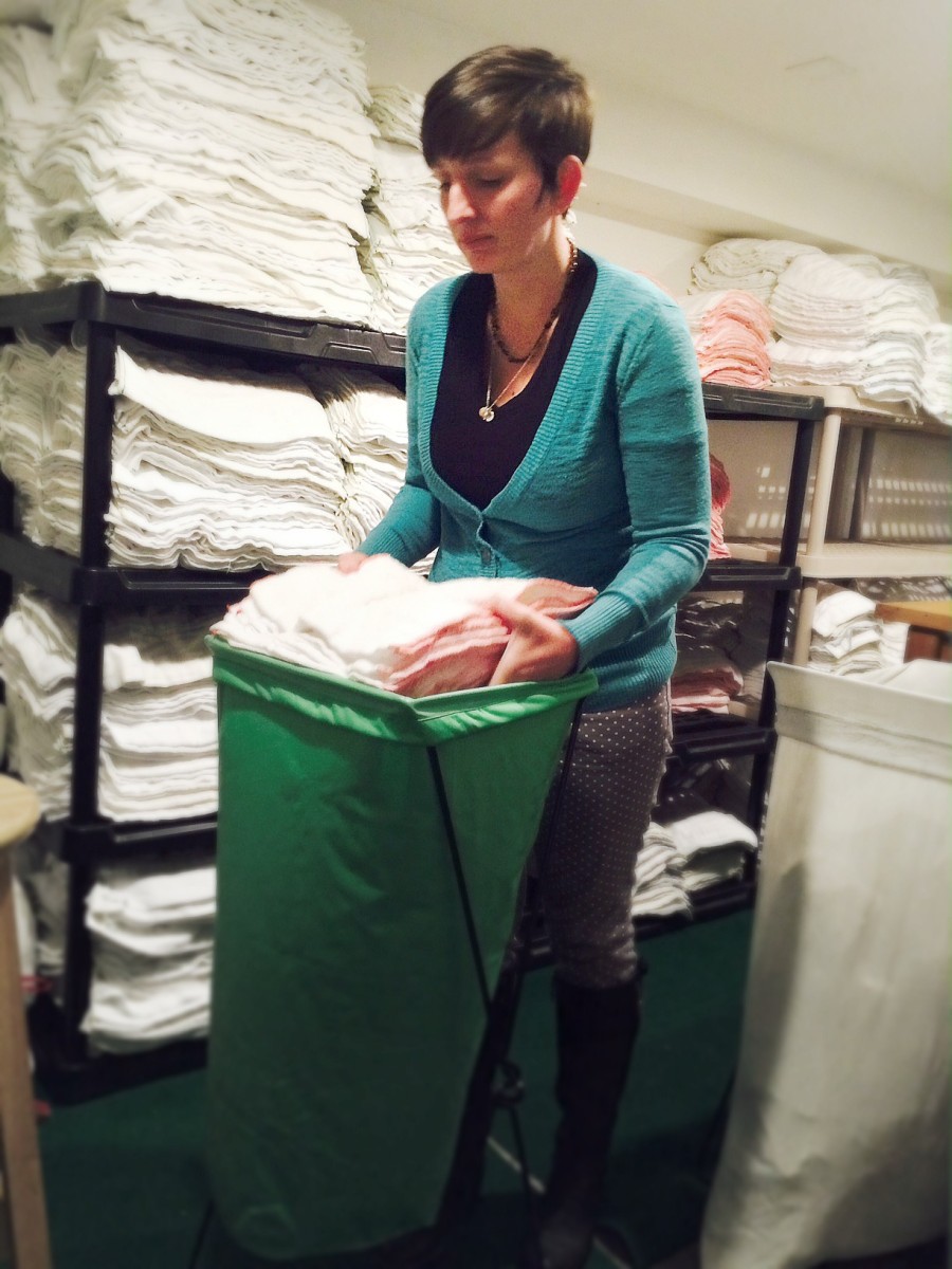 Behind the Diaper - The Diaper Fairy (Diaper Service Series)