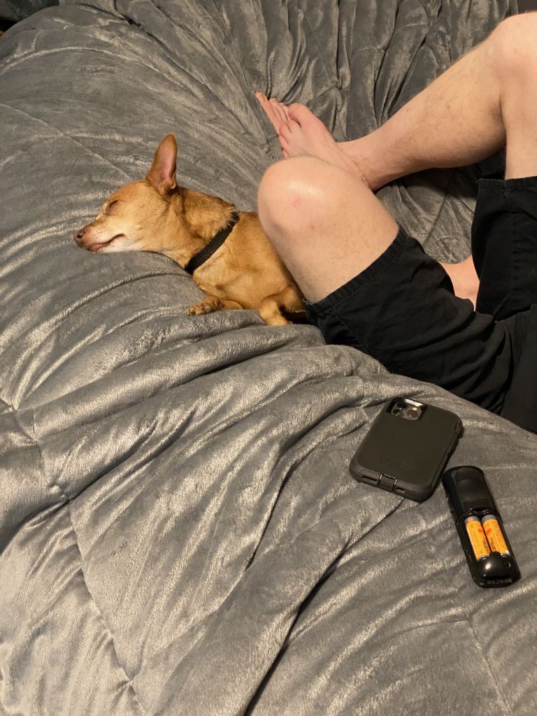 Biggest Puppy Bed Ever - LoveSac Giant Bean Bag Biggest Puppy Bed Ever - LoveSac Giant Bean Bag