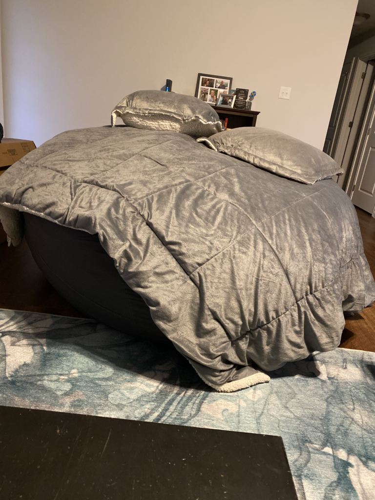 Biggest Puppy Bed Ever - LoveSac Giant Bean Bag Biggest Puppy Bed Ever - LoveSac Giant Bean Bag